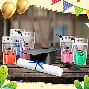Lallisa Graduation Party Supply Drink Pouches for Adults with Straws Plastic Smoothie Bags Translucent Reclosable Beverage Juice Milk Tea Coffee Pouches for Adults Student School(48 Pcs)