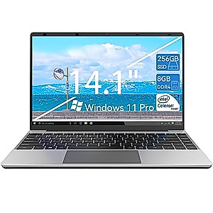 ANTEMPER 14.1 inch Laptop, 8GB RAM 256GB SSD, Windows 11 Laptop with Intel Celeron N4020C(up to 2.8GHz), FHD IPS Display, Mini HDMI, 2.4/5.0G WiFi, USB3.0, Webcam, TF Card, Full-Featured Type-c