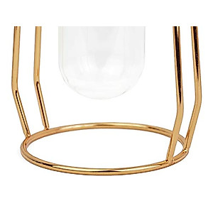 FSyueyun Desktop Glass Vase with Metal Frame，Modern Creative Hydroponics Vase Metal Flower Planter Terrariums Plant Glass-Gold (6.3Inch)