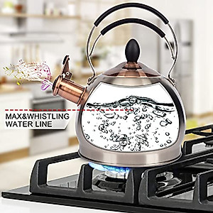 Whistling Tea Kettle Stainless Steel Teapot, Teakettle for Stovetop Induction Stove Top, Fast Boiling Heat Water Tea Pot 2.6 Quart