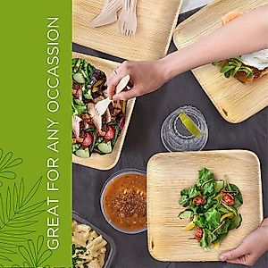 TRULY ECO 8 Inch 40 Square Palm Leaf Plates – Compostable, Biodegradable, Eco-Friendly – Like Bamboo Disposable Plates for Party, Wedding, Picnic – Sturdy, Heat Proof & Leak Proof