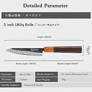 TURWHO 10.5-inch Japanese Sashimi Knife Hand Forged 67 Layers Damascus Steel Salmon Kitchen Knives