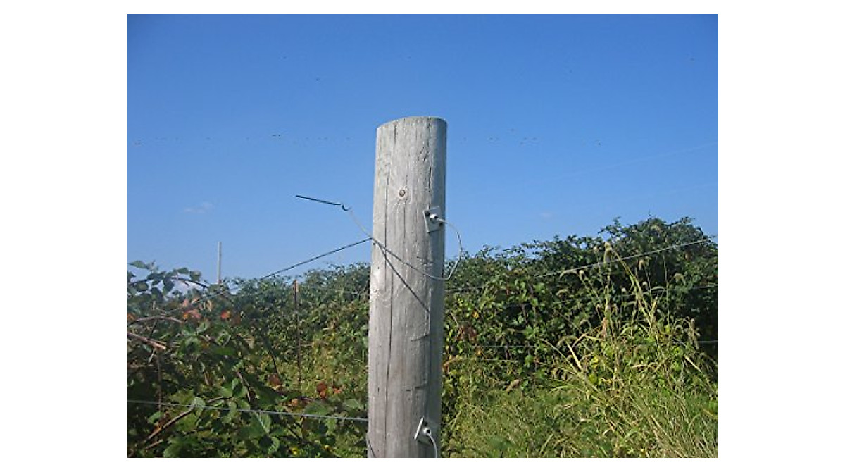 Secure Grape Trellis Wire with LinkEZ Anchor Vise 4-Pack