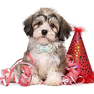 Hotop 16 Pieces Sublimation Blank Dog Tag Aluminum Dog Tag Bone Shaped Sublimation Blank Dog Tag Double Sided Dog Tag with Key Ring for Dogs and Cats Pet ID Tag