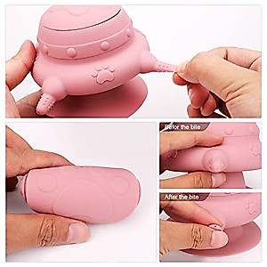 Puppy Feeder Milk Bowl for Nursing Puppy, 4 Teats Puppy Bottles for Multiple Puppies, 240ml Doggie Bubble Feeder Puppy Bottles