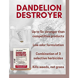 Ike's Dandelion Destroyer | Lawn Weed Killer | Kills Weeds Not Grass | Three-Way Herbicide (32 oz (Quart))