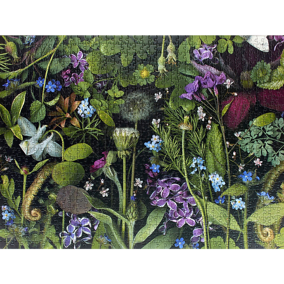 Pomegranate 1000-Piece Jigsaw Puzzle for Adults, Deb Stoner's Siris' Lilac, Matte Finish, Snug Fit