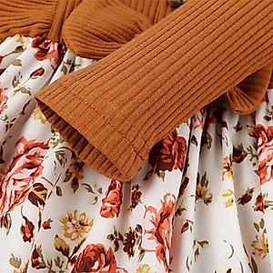 PATPAT Baby Girl Dress Infant Girls Long Sleeve Baby Casual Dress Round Neck Floral Print A-Line Dress Ginger 12-18 Months