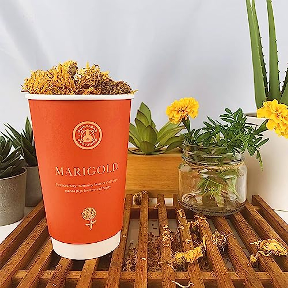 GuineaDad Organic Guinea Pig Herbal Treats - Guinea Pig Food with Convenient Packaging - Marigold Flavor - 1.2-oz - Guinea Pig Treats Help with Bonding - High in Nutrition, Immune Support - Small