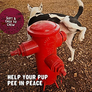 Active Chews | Cranberry Supplement for Dogs | Dog UTI, Bladder Control for Dogs | Dog Kidney Support, Dog Cranberry Supplement, Dog Health Supplies, Dog Incontinence Products | 120 ct