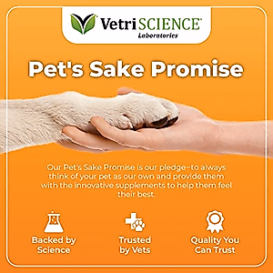VETRISCIENCE Glycoflex 3 Clinically Proven Hip And Joint Supplement With Glucosamine For Dogs, 120 Chews - Vet Recommended Mobility Support Supplement With DMG, MSM, And Perna