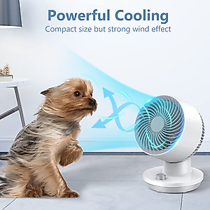 LifePlus Small Air Circulator Fan, Desk Fan 90° Tilt & 52° Oscillating, Portable Table Fan with 3 Speeds Powerful Airflow Perfect for Bedroom Dorm Office, White