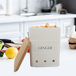 Eco-Friendly Bamboo Lid Metal Garlic Storage Box with Ventilated Countertop Vegetable Bin for Ginger, Potatoes, and Onions - Airtight, Portable Kitchen Organizer