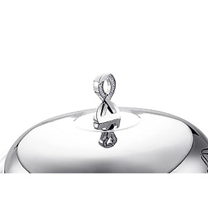 ORDINNER KIT Chafing Dish Buffet Set Stainless Steel Frame Chafing Dishes Glass Dish Server Food Warmer for Parties 4.1L