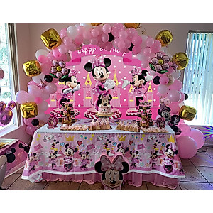 ANDXIN Pink Cartoon Mouse Backdrop, Tablecloth, Birthday Party Decorations, Vinyl, Environmentally Friendly Materials, 6x4FT, 70x42in