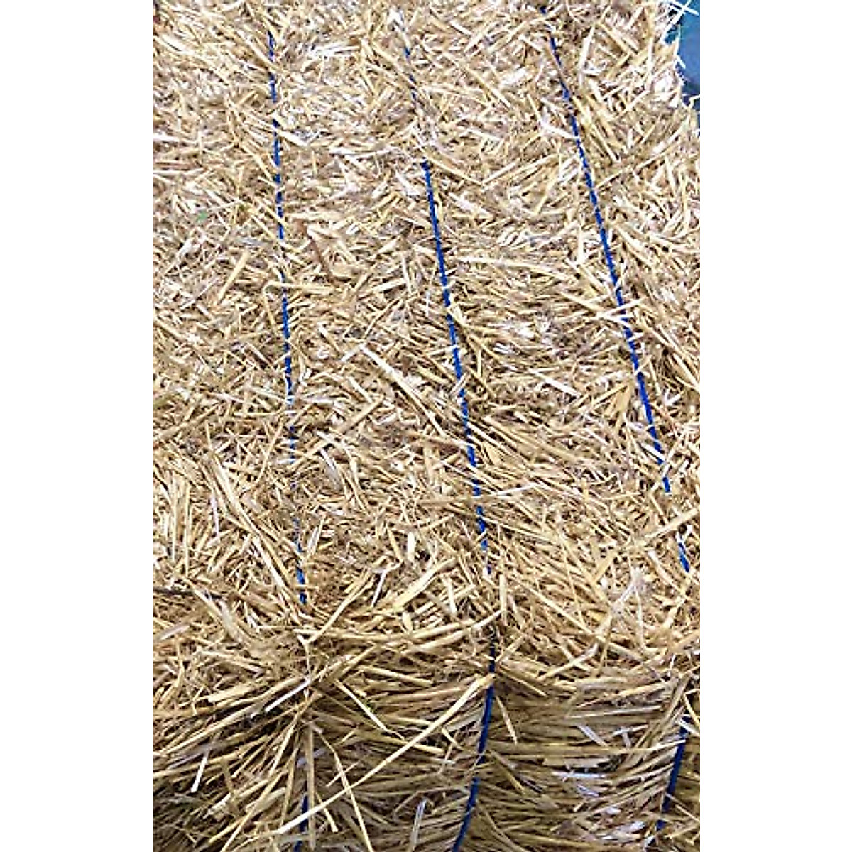 AA Plus Shop 100% Natural Wheat Straw Grass, Animal Bedding and Farm Wheat Straw (4LB)