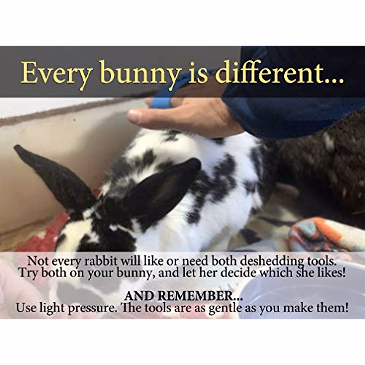 Rabbit Grooming Kit with Rabbit Grooming Brush - Rabbit Hair Brush and Rabbit Hair Remover- Bunny & Guinea Pig