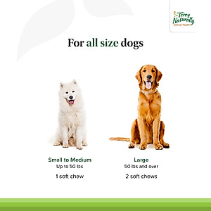 Terry Naturally Animal Health Intelligent Omega - 60 Soft Chews - Omega 3 from Salmon for Dogs - Promotes Brain & Eye Health - 60 Servings