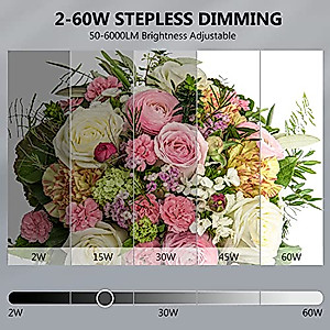 Photo Light Box Photography, Takerers Bi-Color Dimmable 24 x 24 inch Background Studio Shooting Tent Kit, 6 Color Backdrops, Foldable Picture Lightbox with 240 LED, 3000-6500K Lighting Booth