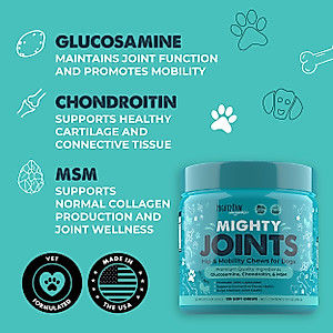 Mighty Paw Waggables Joint Support Supplement for Dogs (Made in USA) | Glucosamine for Dogs Hip and Joint Supplement. Vet Formulated Pet Mobility, Chondriotin & MSM Dog Joint Supplement Chews (120 Ct)