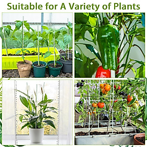 Plant Stakes, Plant Support Stakes for Indoor and Outdoor Plants,20Pcs Plant Sticks Suit for Gardening Floral Potted Tomatoes,Vegetables Beans Orchid Climbing Plants -18 inches