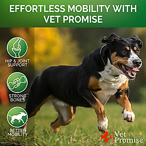 Glucosamine for Dogs - Hip and Joint Supplement for Dogs - Glucosamine Chondroitin for Dogs - Dog Joint Pain Relief - MSM - Hemp Oil - Advanced Support Dog Joint Supplement Health - 120 Mobility Chews