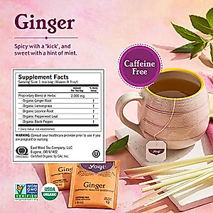 Yogi Tea - Digestion and Detox Tea Variety Pack Sampler (6 Pack) - Green Tea Super Antioxidant, Ginger, DeTox, Blackberry Apple Cider, Honey Chai Turmeric Vitality, and Egyptian Licorice - 96 Tea Bags