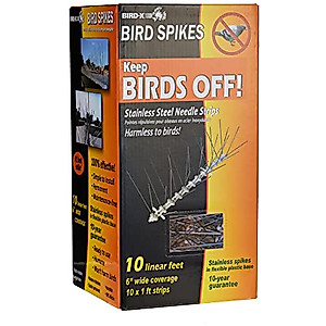 Bird-X Standard (STS-10-R) STAINLESS STEEL SPIKES-10, 10 feet