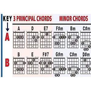 Mini Guitar Chord Chart Poster - Laminated Guitar Progressions Chord Poster for Beginners and Musicians - Guitar Chord Trainer - Acoustic Guitar Accessories - 8.5" x 11" - Walrus Productions