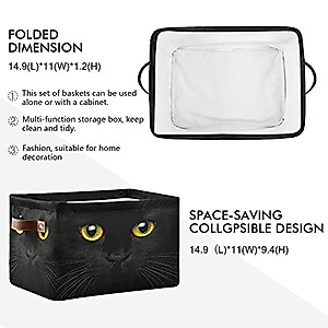 TropicalLife Rectangular Storage Bin Cube Funny Animal Black Cat Foldable Organizer Basket with Handles, Collapsible Storage Box for Kids Toy Shelf Closet Nursery