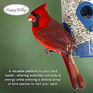 Happy Wings Sunflower Hearts & Chips - Sunflower Kernels and Chips Bird Food- 5 Pounds I No Mess, No Waste Seed| No Grow Seed | Bird Seed for Wild Birds