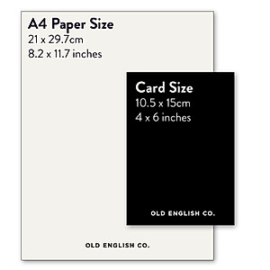 Old English Co. Snail Belated Happy Birthday Card - Funny Cute Delayed Greeting Card for Him and Her | Sorry It's Late for Men and Women | Blank Inside & Envelope Included