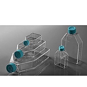 Sterilized Cell Culture Flasks - 250ml, 75cm2, Vent Cap, 5/pk
