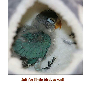 Oncpcare Winter Warm Small Animals Bed Playing Soft Hamster Bed Sleeping Cute Hamster Hammock Birds House Hanging Resting for Gerbil Young Guinea Pig Degu Drawl Hedgehog