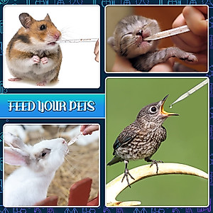 Weewooday Glass Droppers Pipettes Graduated Lab Dropper Glass Liquid Pipette with Big Rubber Hats 20 cm Glass Stir Rod Washing Brush Transfer for Liquid Essential Oil(16 Pieces,Blue,5 Ml, 10 ml)