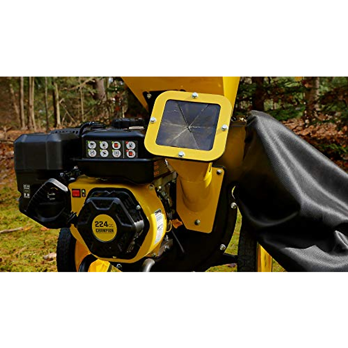 Champion Power Equipment 200905 3-Inch Portable Chipper-Shredder with Collection Bag