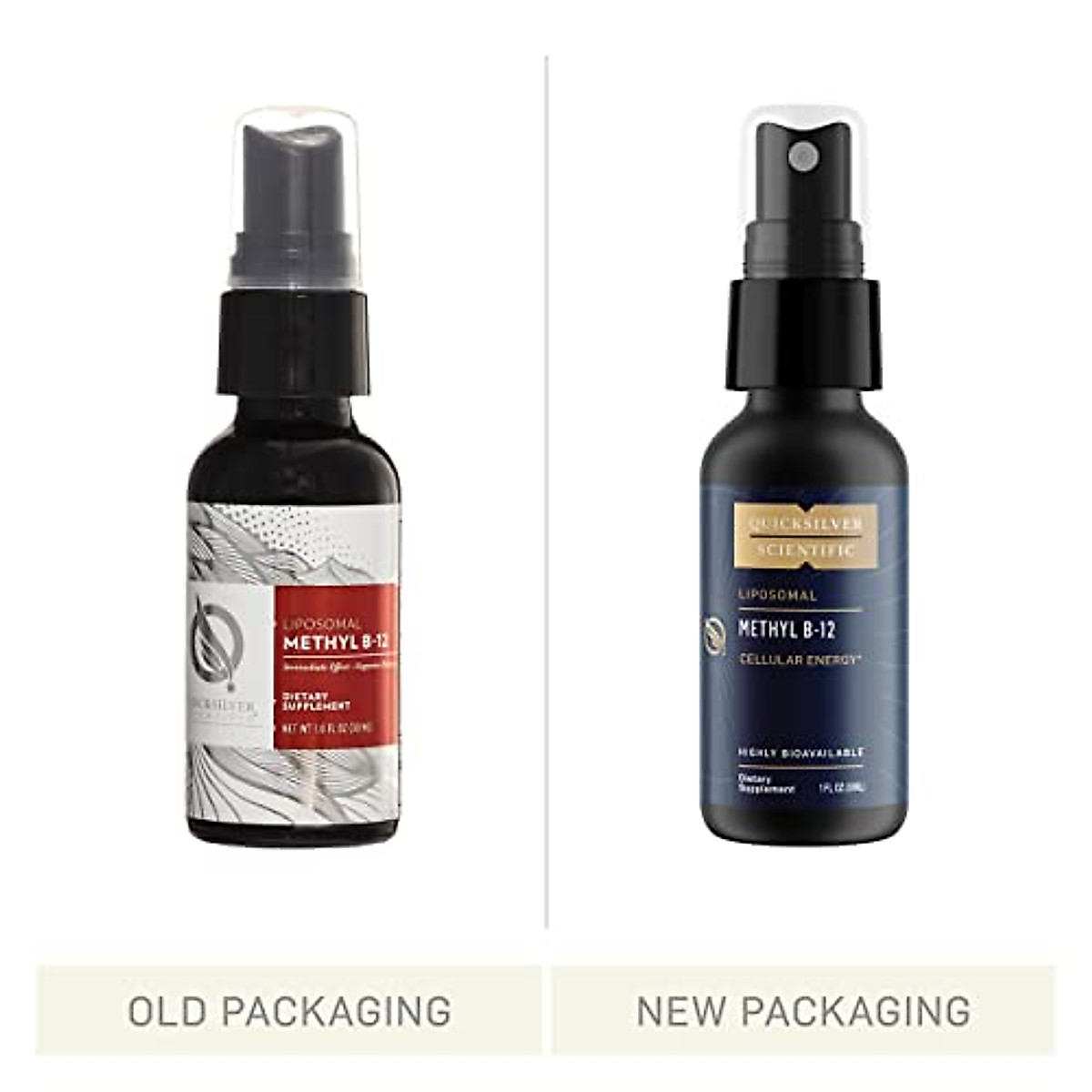 Quicksilver Scientific Methyl B12-1000mcg Vitamin B12 as Methylcobalamin (Methyl B12) - B12 Liquid with Nano Technology for Superior Absorption - Supportive Energy Supplement (30ml / 90 Servings)