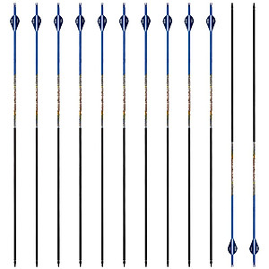 PANDARUS 30/32" Inch ST0.006 Hunting Arrows for Compound & Recurve Bow,100% Carbon Archery Target Arrows with Removable Tips for Accurate Hunters & Bowhunters (Pack of 12)-32 inch Blue SP300