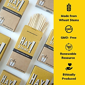HAY! Straws Cocktail Straw | 100ct | 5" | 100% Biodegradable, 100% Plant-Based, Never Soggy, Gluten-Free | Sustainable Alternative to Plastic & Bioplastic Straws