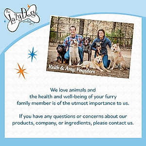 The Lazy Dog Cookie Co. Bake-at-Home Vanilla Birthday Cake Mix Dog Treat, 12-oz