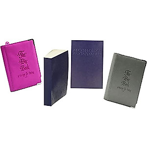 Softcover AA Big Book with Green/Pink/Gray AA BookCover Case Includes AA Big Book Softcover with Zip Up Case (Green)