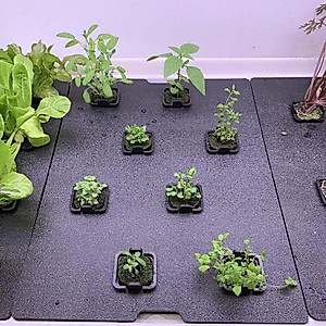 Rise Gardens Indoor Garden Seed Pod Tray Lid, Fits 12 Hydroponic Garden Pods