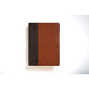 Every Man's Bible: New Living Translation, Large Print, TuTone (LeatherLike, Brown/Tan) – Study Bible for Men with Study Notes, Book Introductions, and 44 Charts