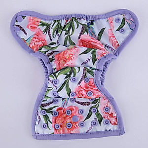 Sigzagor Newborn Baby Diaper Nappy Cover 8lbs-10lbs (Hummingbirds)