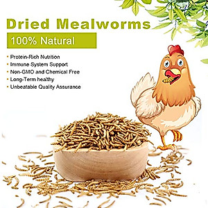LuckyQworms Bulk Mealworms 11Lbs, High-Protein Dried Mealworms, 100% Non-GMO Mealworm Treats for Birds, Chickens, Turtles, Fish, Hamsters and Hedgehogs All Natural Animal Feed