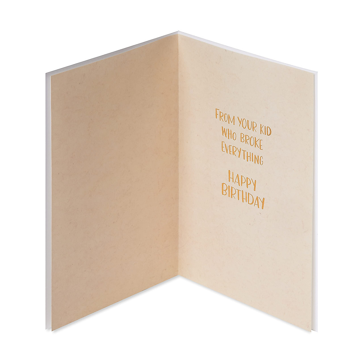 Papyrus Funny Birthday Card for Dad (Broke Everything)