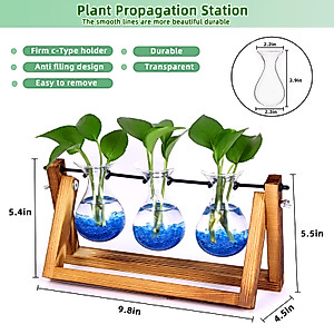 XCC Plant Propagation Station - 3 Bulb Vase, Perfect Home and Office Decor, Ideal Gift for Women, Beautiful Garden Decoration, Great Birthday Gift for Planter Lover
