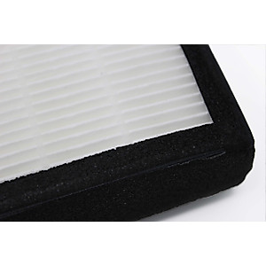 FLT4825 True HEPA H13 Filter B Compatible with GermGuardian Air Purifier AC4300BPTCA AC4900CA AC4820 AC4825 AC4870 AC4825DLX AC4850PT CDAP4500BCA CDAP4500WCA AP2200CA BLACK+DECKER BXAP148. 2-Pack