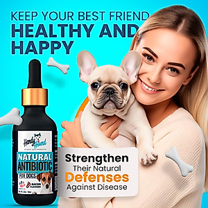 Natural Antibiotics for Dogs – Gentle, Effective Dog Antibiotic - Provides Dog Allergy Relief and Dog Itching Skin Relief - Premium Antibiotics for Dogs with Bacon Flavor