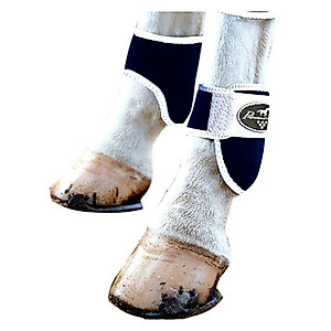 Professional Choice Boots Magnet Therapy Ankle Neoprene Blue PCMAB-100